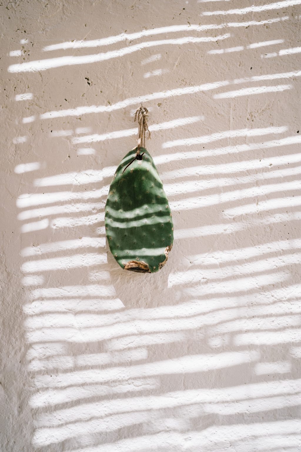 Matrimonio a Masseria Cuturi: nozze romantiche tra vigne e corte pugliese